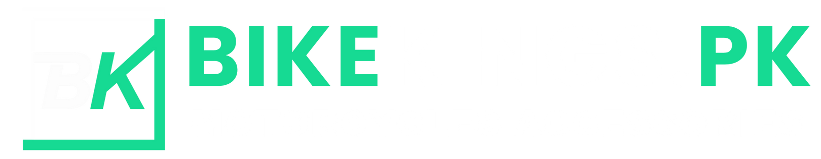 BIKEKINGS.PK – Premium Motorcycle Accessories & Gear in Pakistan – Bike ...